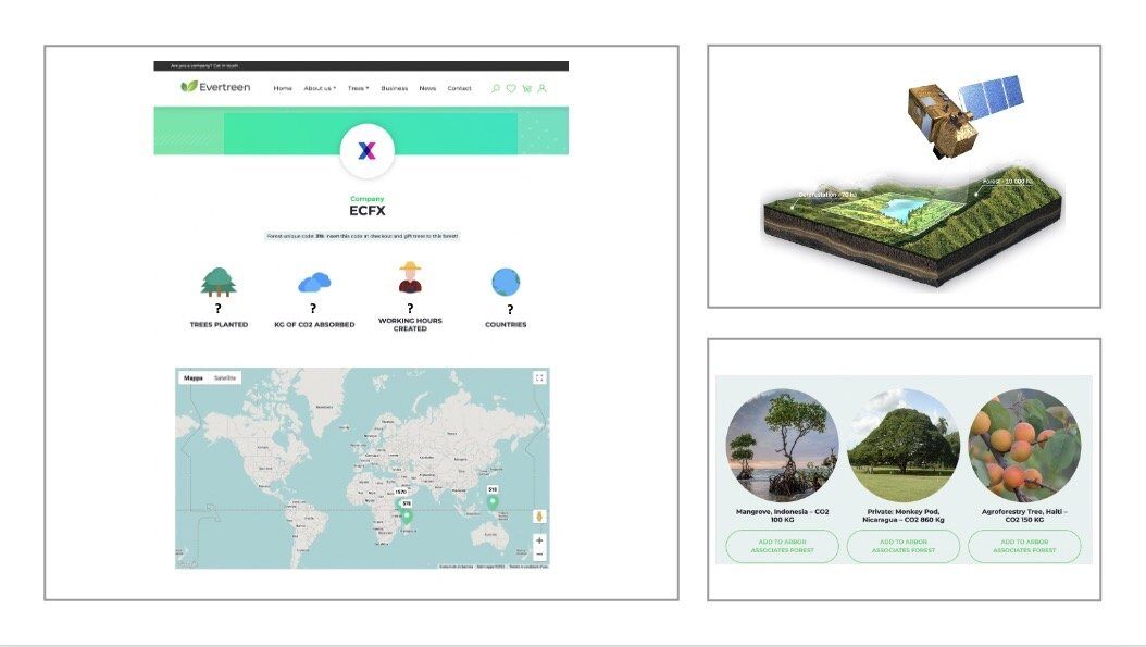 Evertreen Sustainability Initiative | ECFX